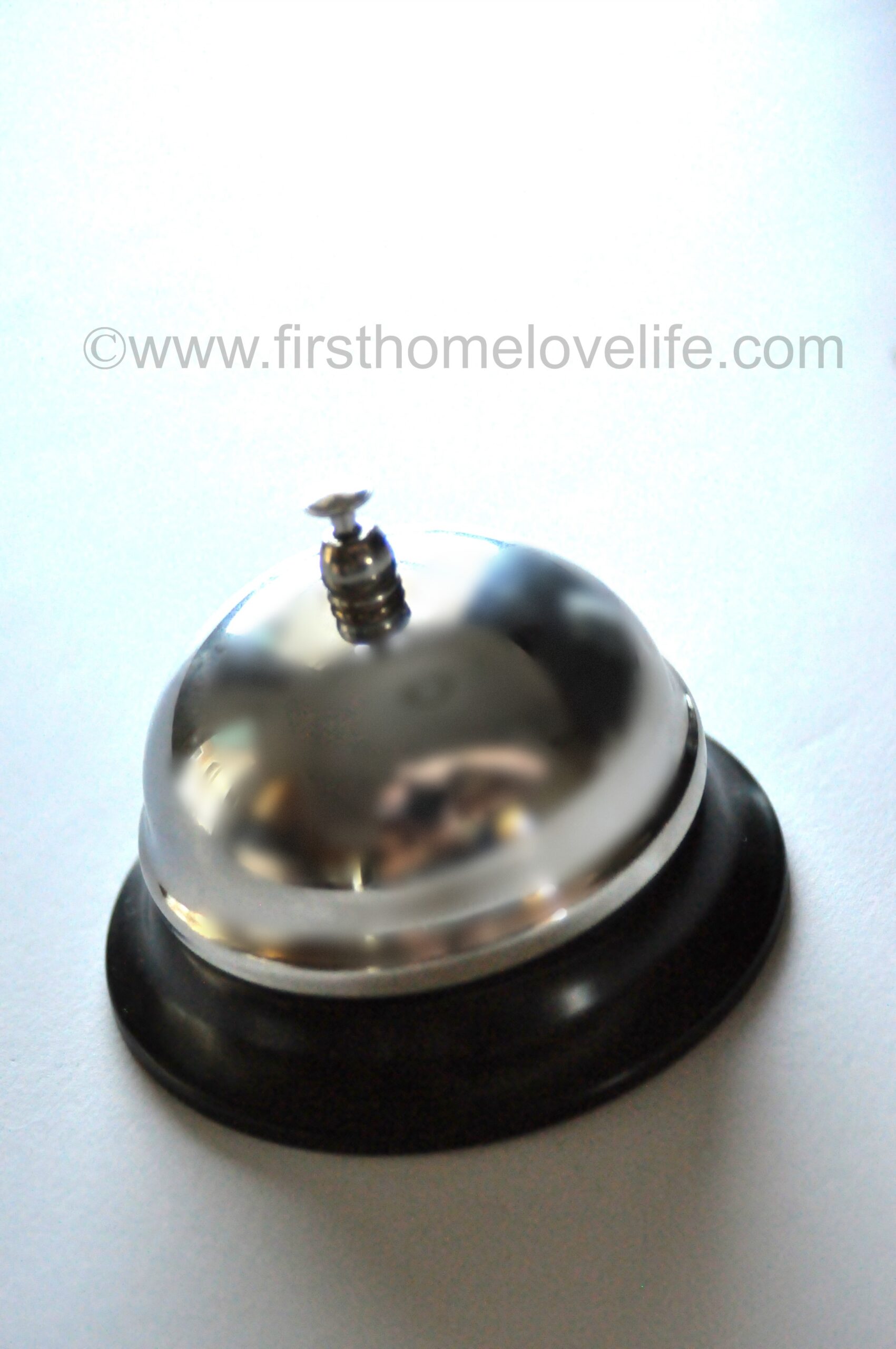 Potty Training Puppy Using a Bell – First Home Love Life