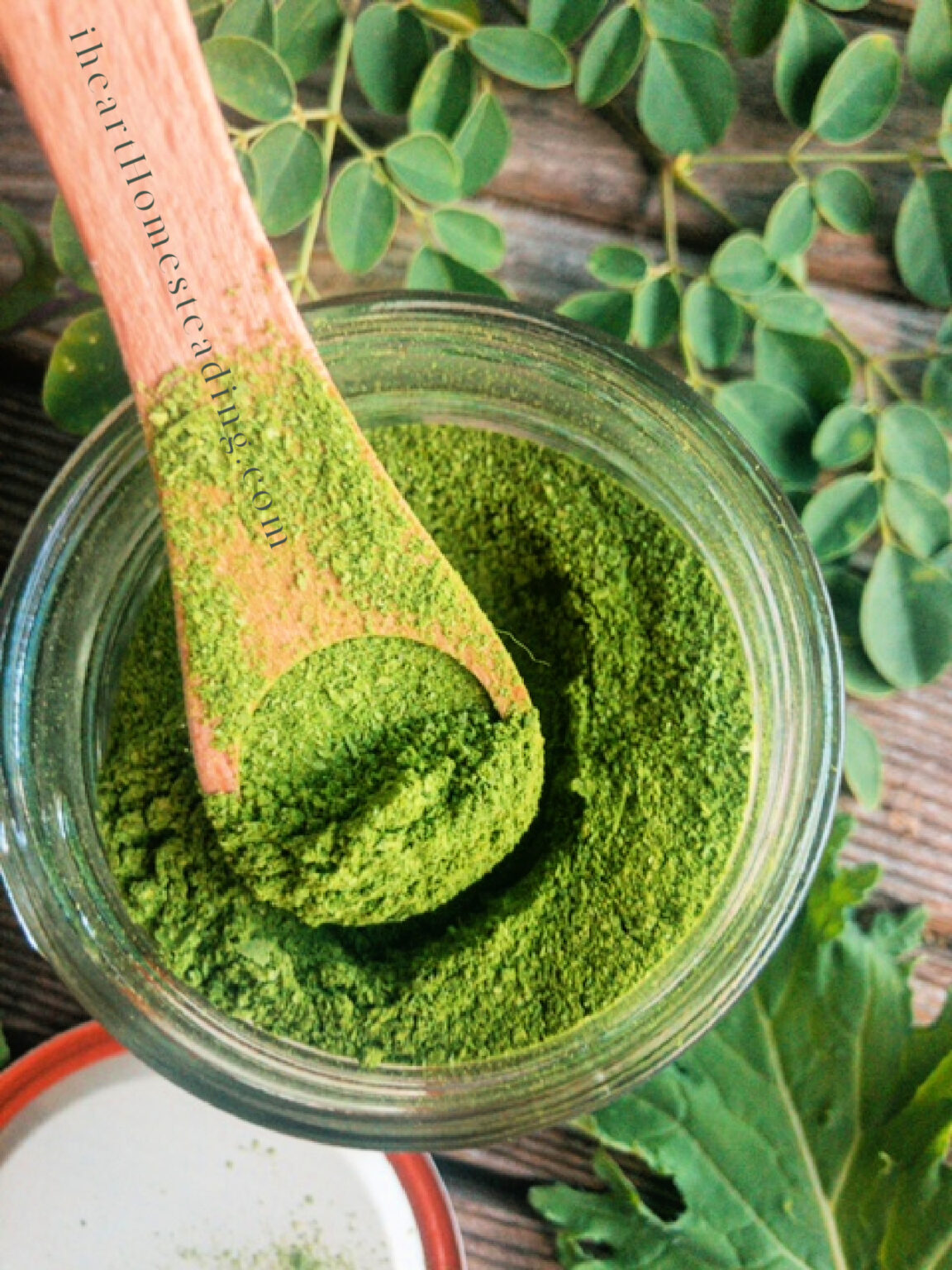 How To Make Your Own Kale & Moringa Powder - First Home Love Life